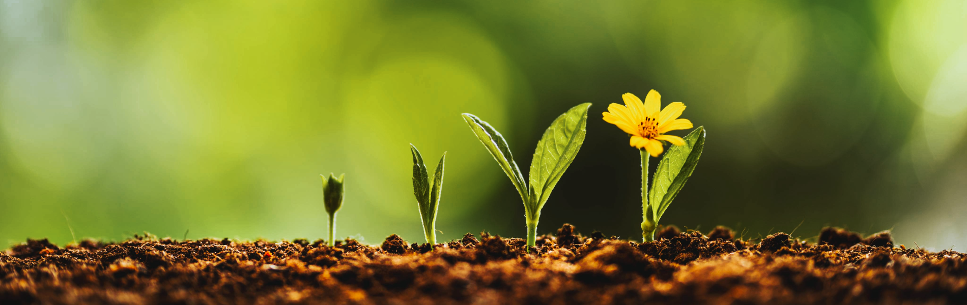 JOSEPH | Grow Together